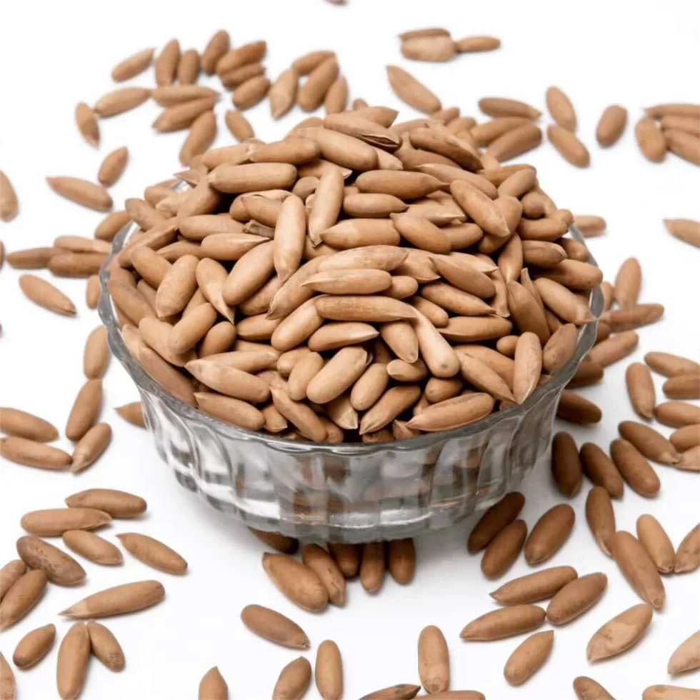 Pine Nuts with Shell – Occasions Dry Fruit